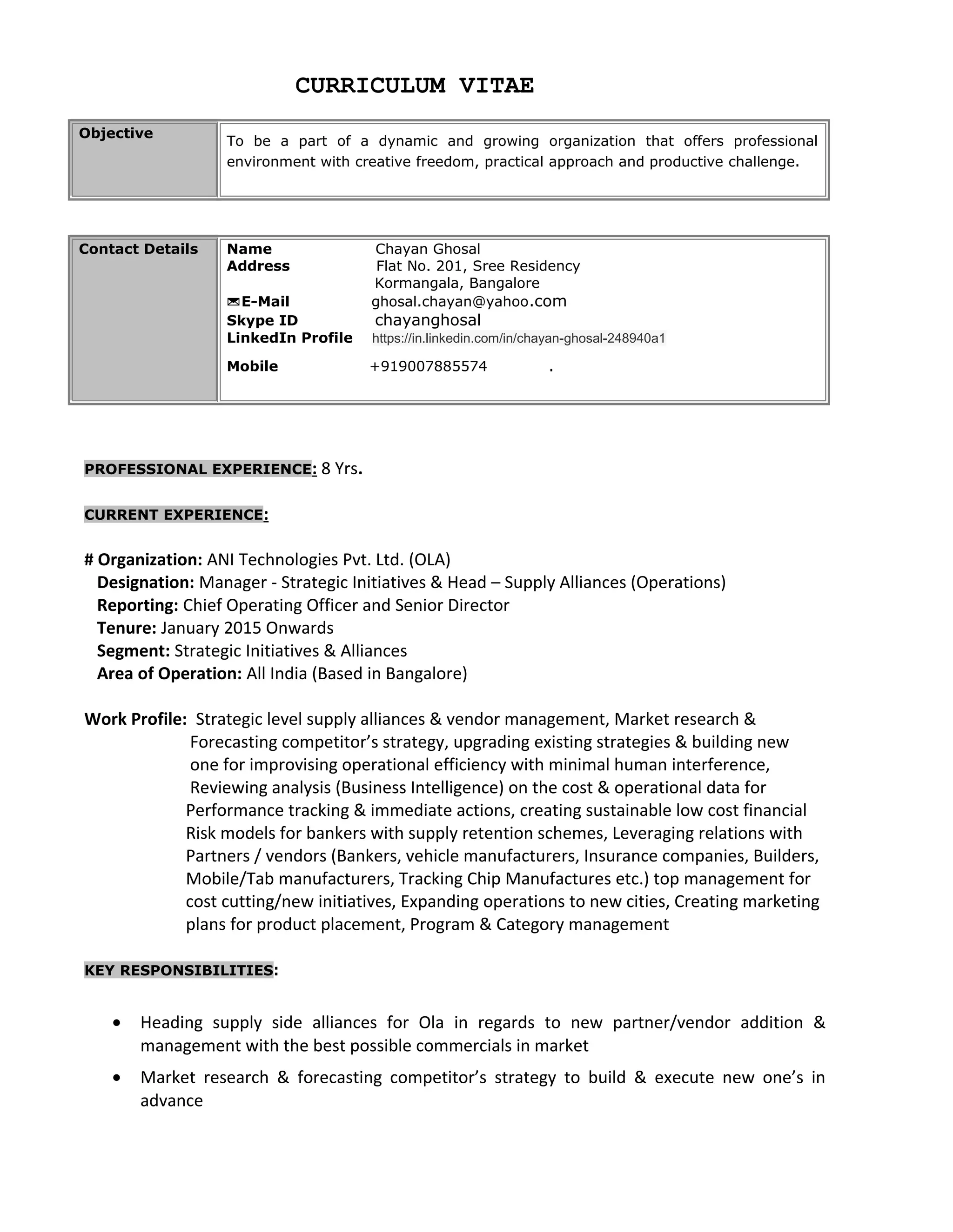 CV - CG-Manager - Strategic Initiatives & Head Alliances (Operations) - V1 | PDF