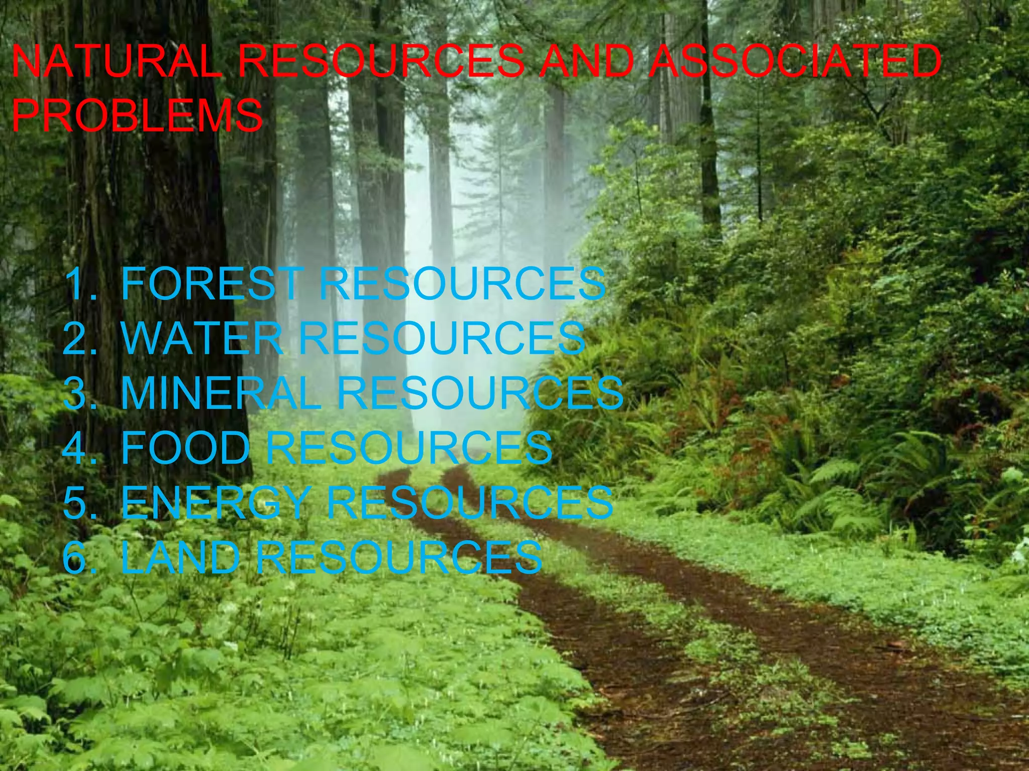 Forest Resources | PPT