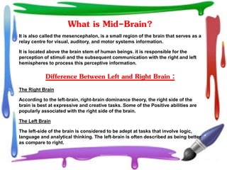 Mid Brain Activation (1) | PPSX