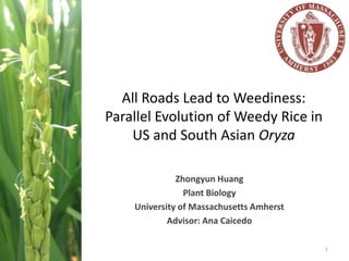 all_roads_lead_to_weediness_ZH_Davis_050816 | PPT