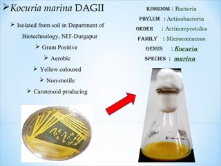 ARKA JNU CONFO PPT | PPT