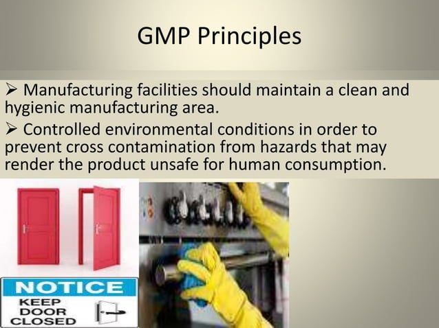 Good Manufacturing Practice ppt | PPTX | Infectious Diseases | Diseases ...