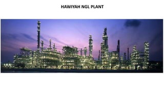 Hawiyah Plant | PPT