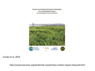 Three birds with one stone- Tidal wetland restoration carbon seq | PDF ...