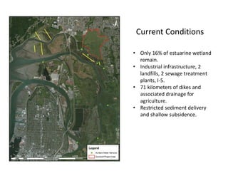 Three birds with one stone- Tidal wetland restoration carbon seq | PDF ...