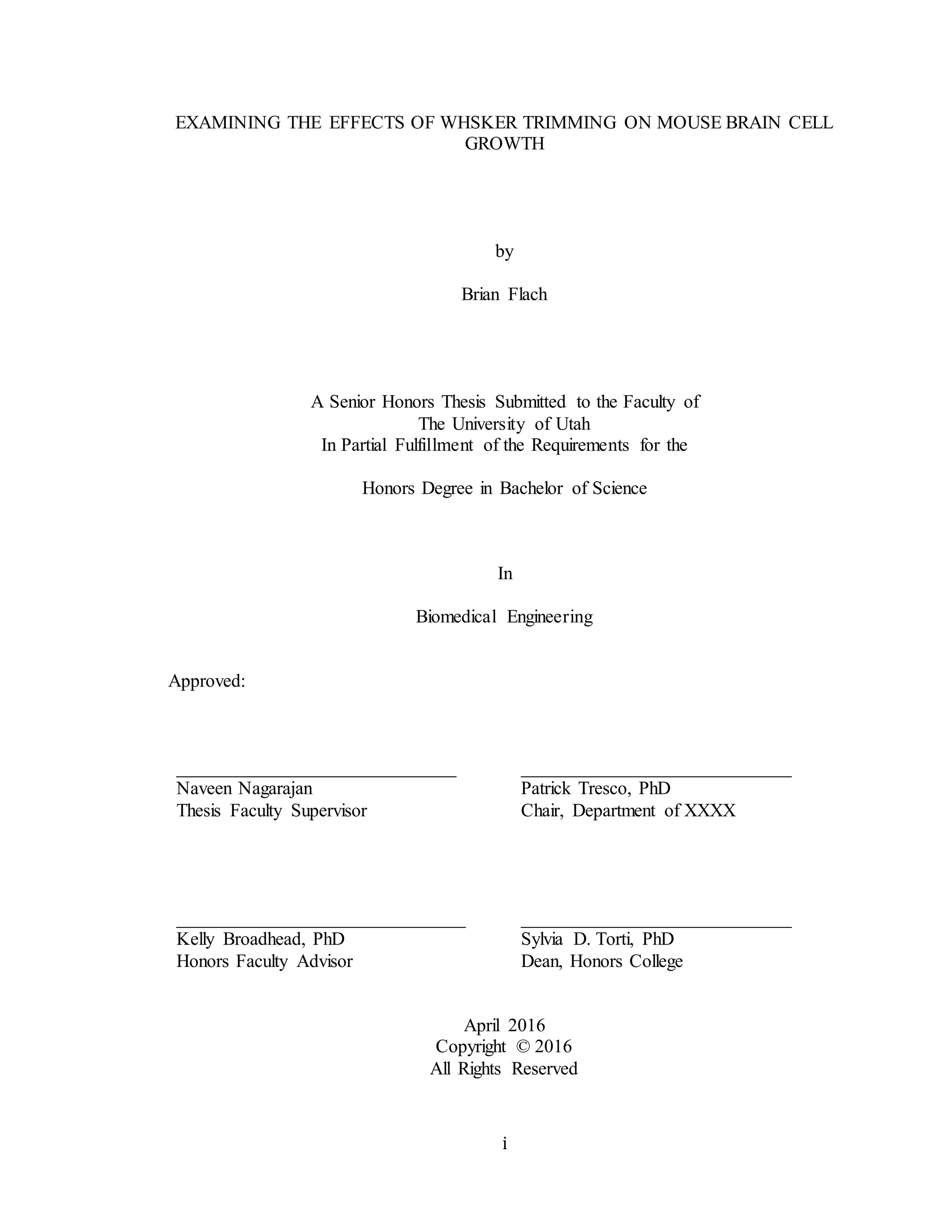 Flach_Brian_HonorsThesis_FinalDraft (1) | PDF