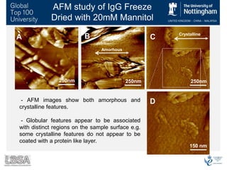 Dr Mudasir Ahmad Lone - Nanotalk | PPTX | Biological Sciences | Science
