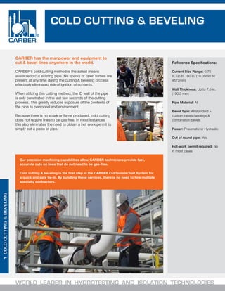 Carber_Service_Catalog | PDF