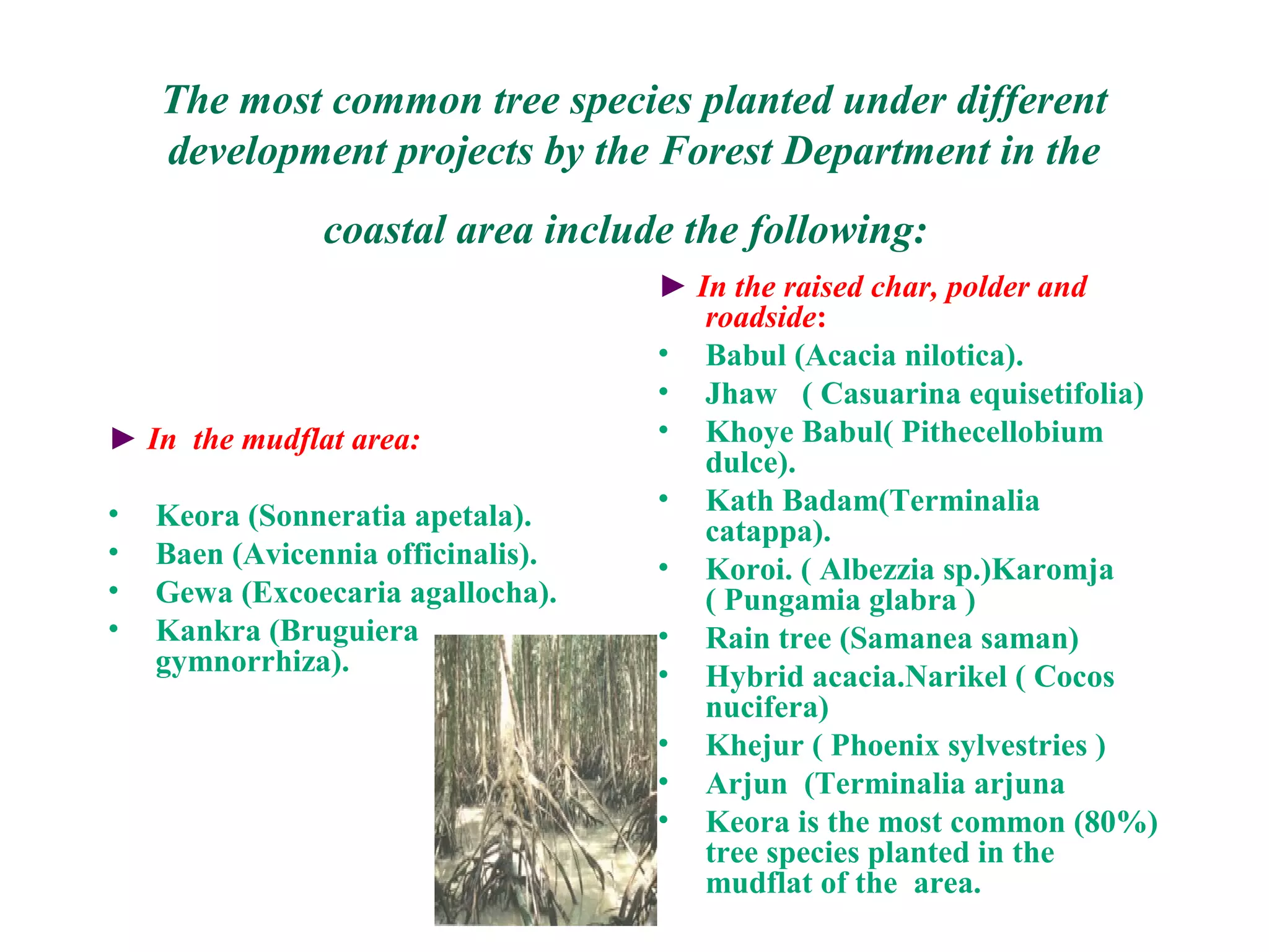 3.Biological Interventions | PPT
