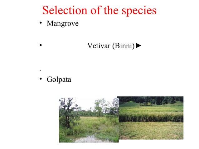 3.Biological Interventions | PPT | Environmental Services Industry ...