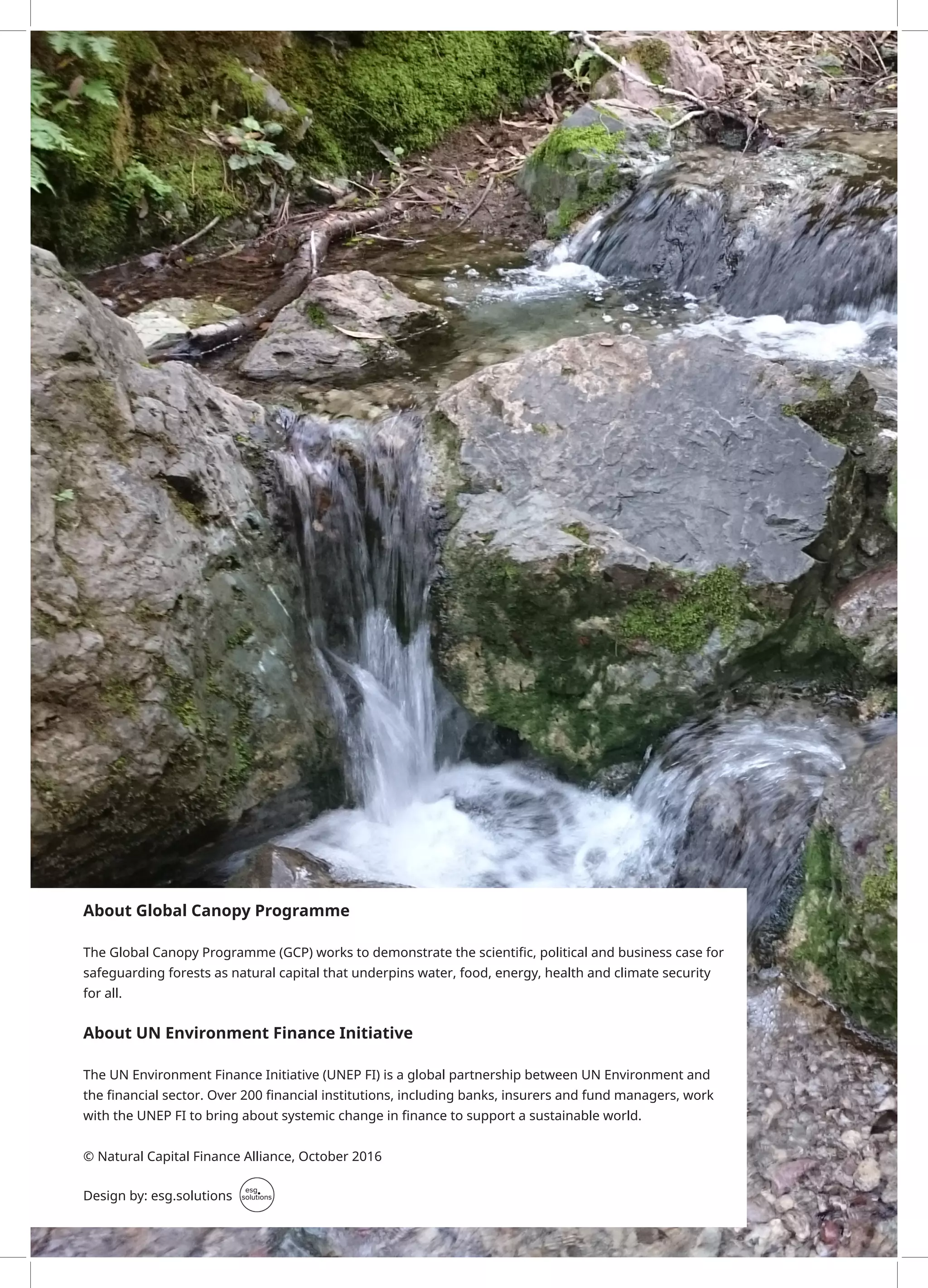 NCFA-brochure-final-print | PDF