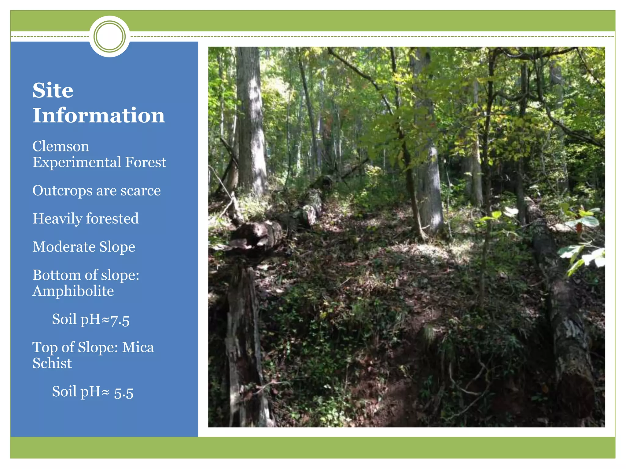 geochemical analysis powerpoint | PPTX