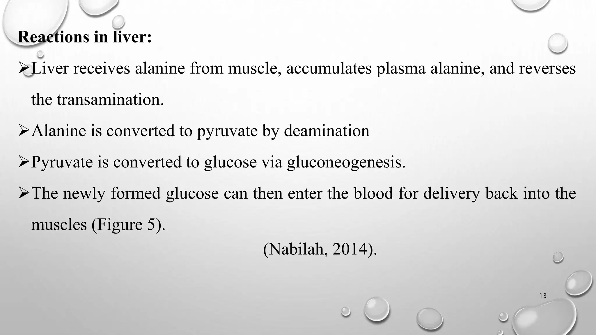 8 Glucose-alanine cycle | PPTX
