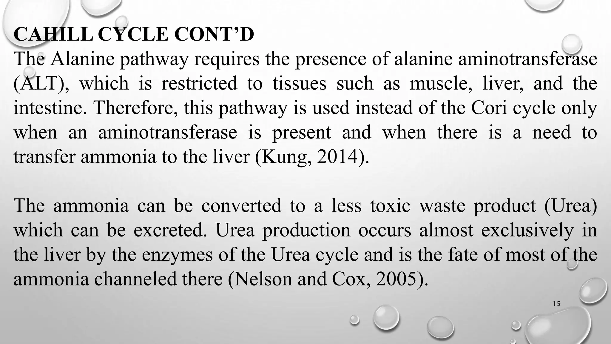 8 Glucose-alanine cycle | PPTX