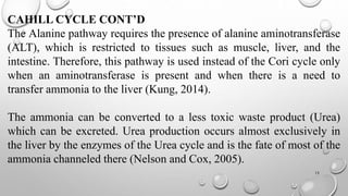 8 Glucose-alanine cycle | PPTX