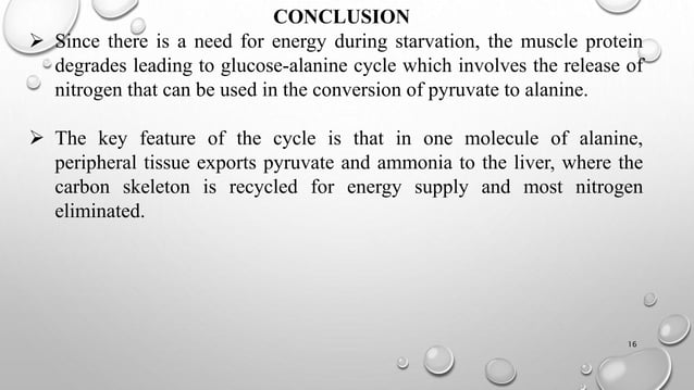 8 Glucose-alanine cycle | PPTX