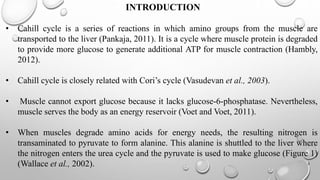 8 Glucose-alanine cycle | PPTX