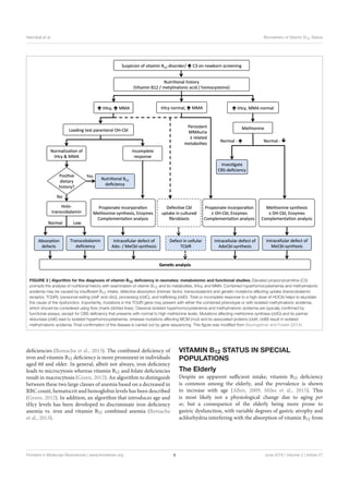 Biomarkers B12 diagnosis_Hannibal et al_Front Mol Biosci Metabolomics ...