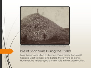 Morgan Tucker - ENMU PowerPoint Assignment | PDF