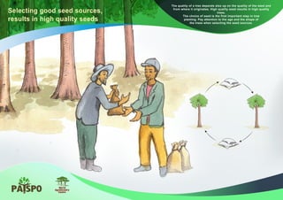 VISUAL PRESENTATION OF EXTENSION MATERIAL ON TREE SEED | PDF