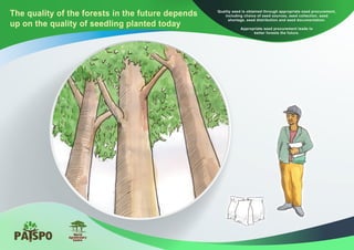 VISUAL PRESENTATION OF EXTENSION MATERIAL ON TREE SEED | PPT