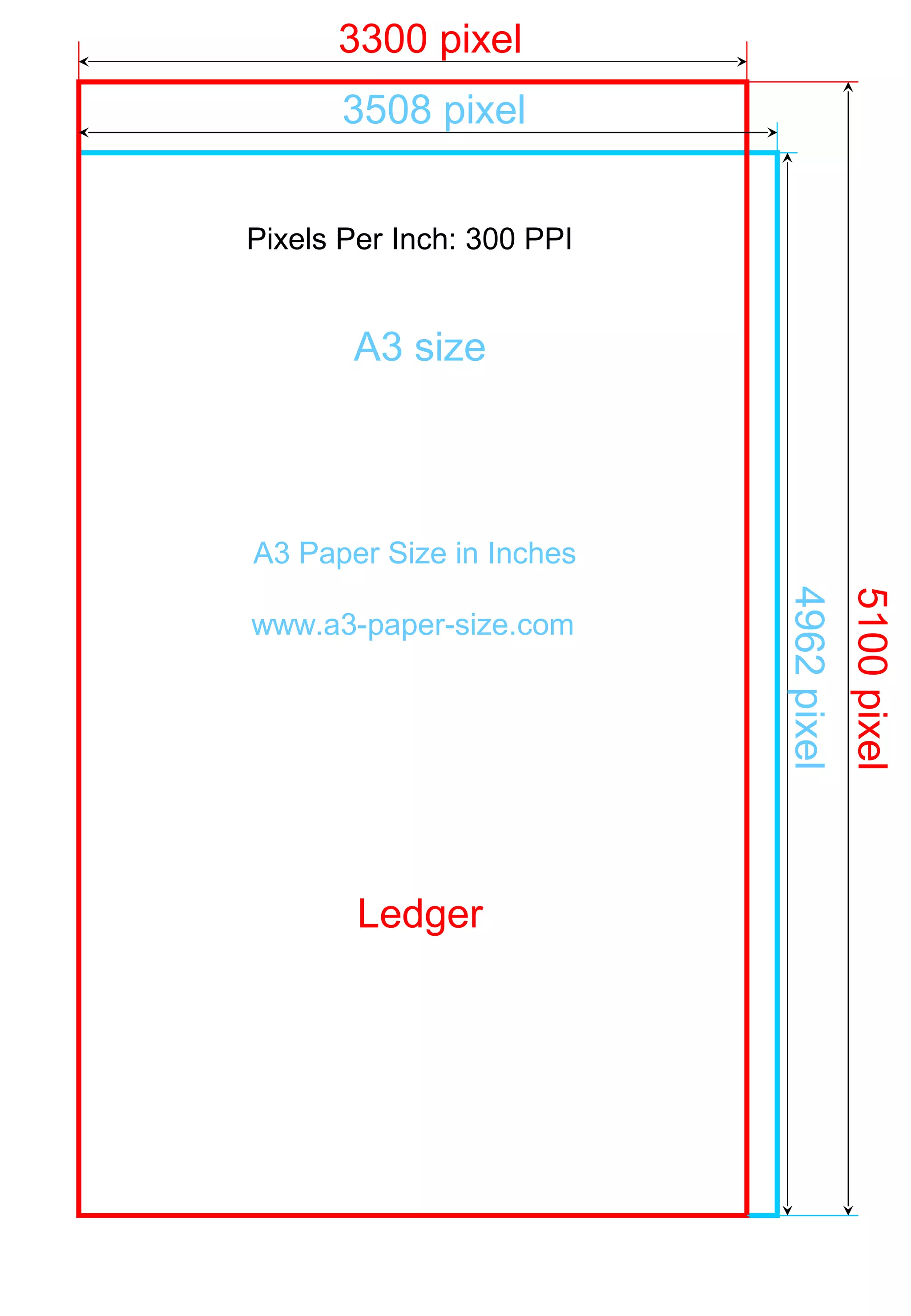 A3 paper size | PPT