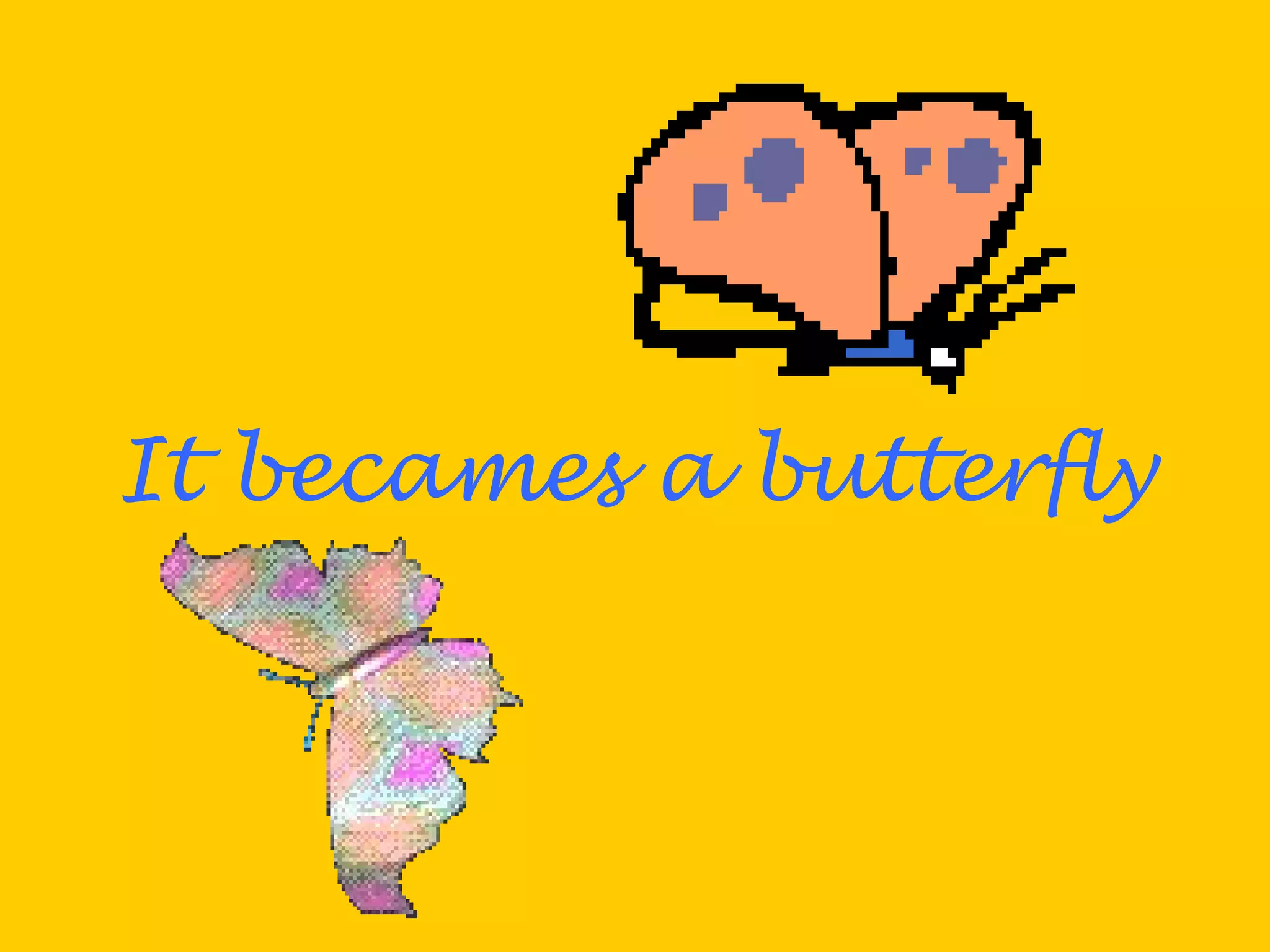 3.2 buterfly life cycle | PPT | Pets