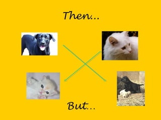 3.2 buterfly life cycle | PPT