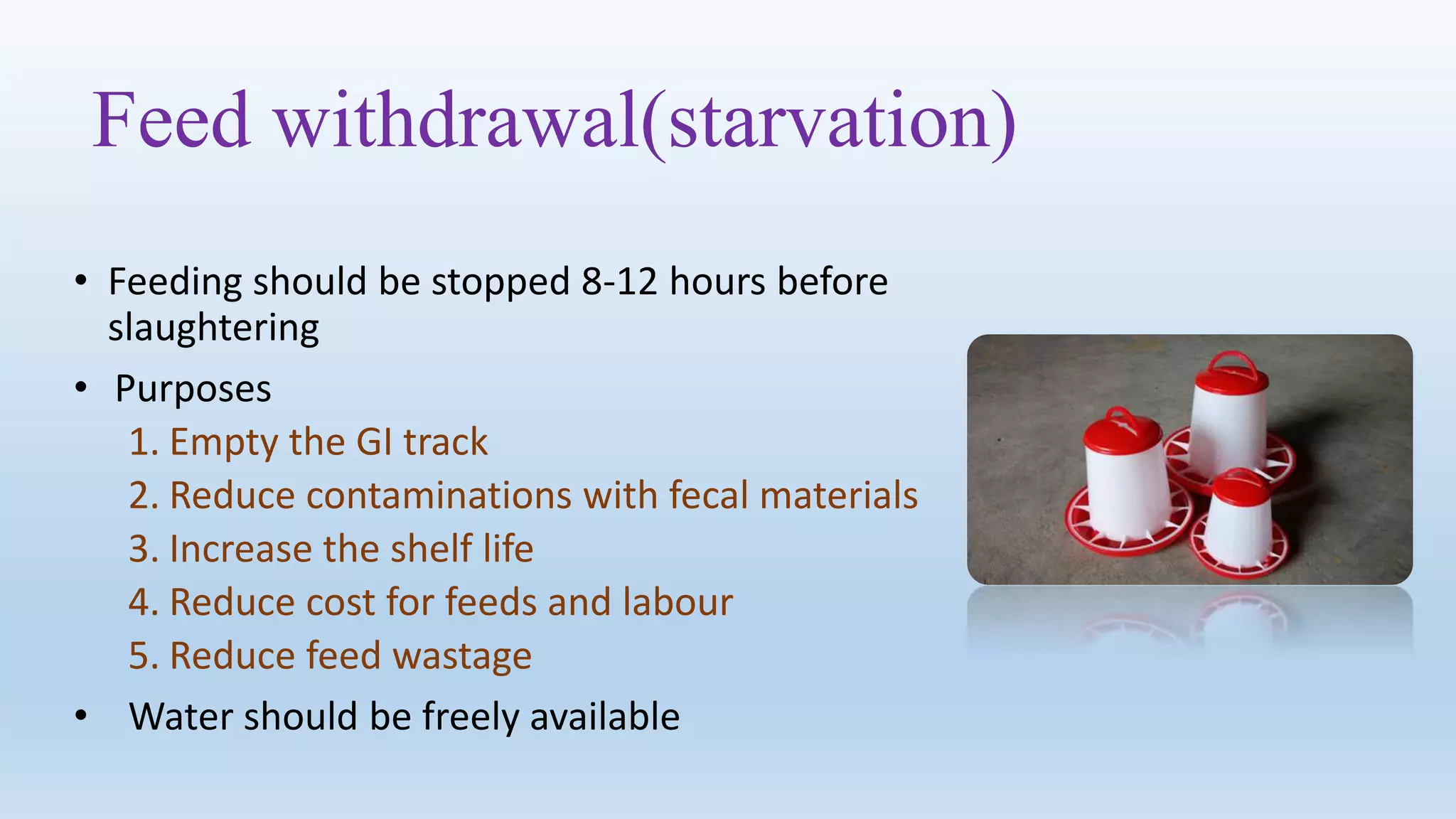 Slaughtering procedure of broilers | PPTX