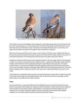 DmH - American Kestrel Packet March 2016 | PDF