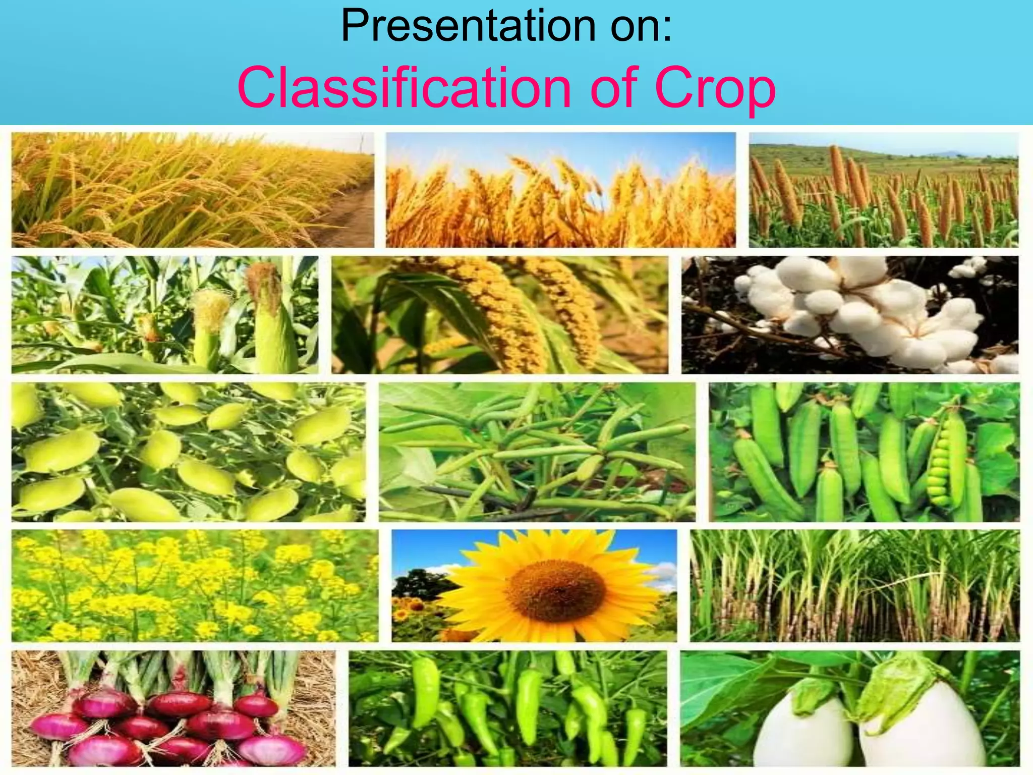 Different Types of Crop | PPTX