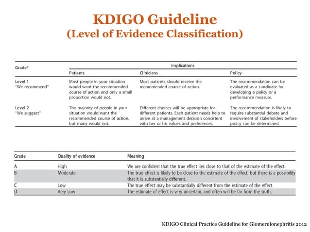 Focal Segmental Glomerulosclerosis (FSGS) | PPTX | Medical Health