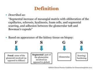 Focal Segmental Glomerulosclerosis (FSGS) | PPTX