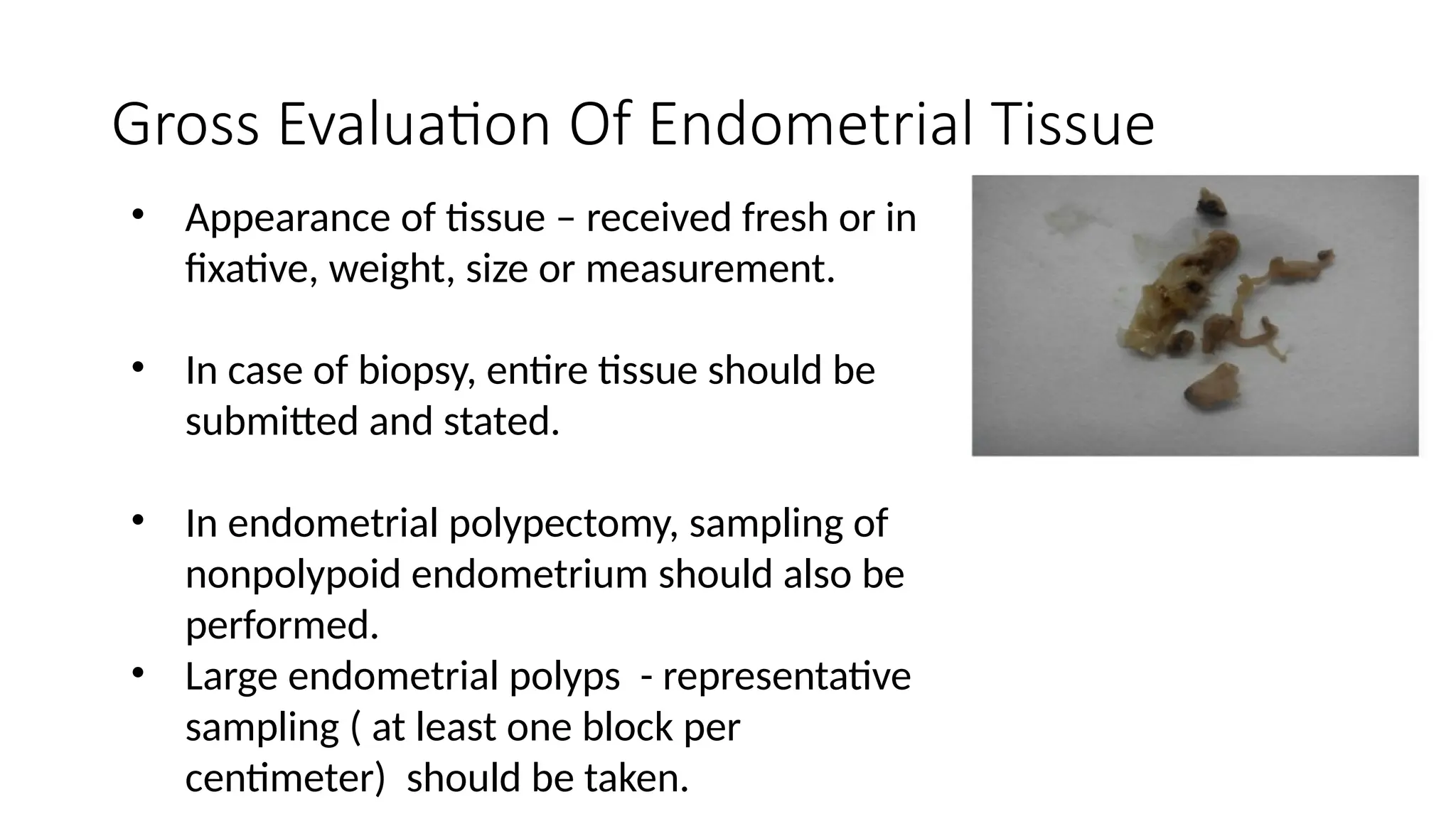 Endometrial biopsy_ interpretation .pptx