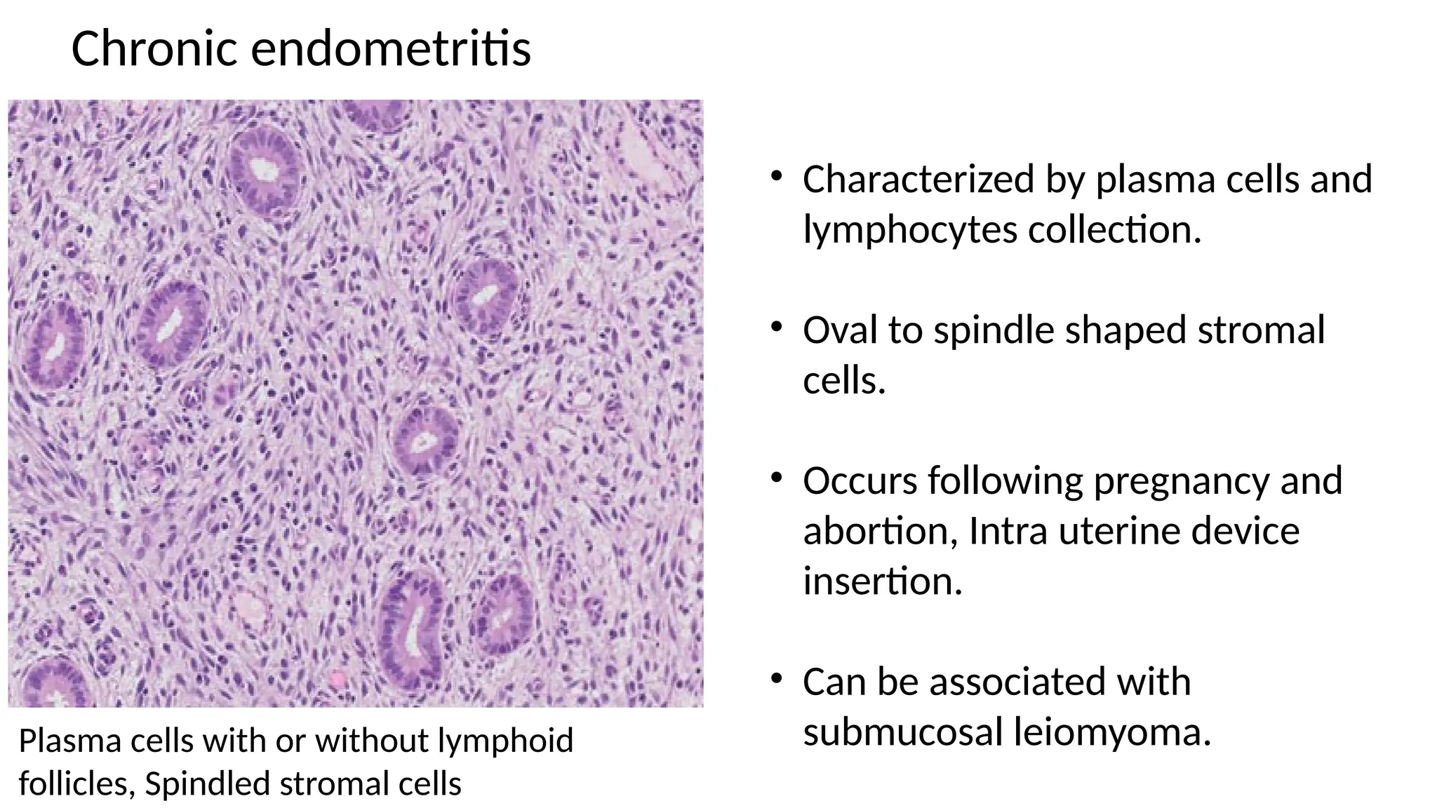 Endometrial biopsy_ interpretation .pptx
