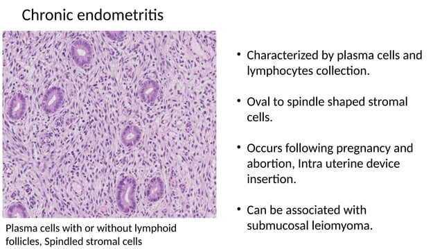 Endometrial biopsy_ interpretation .pptx