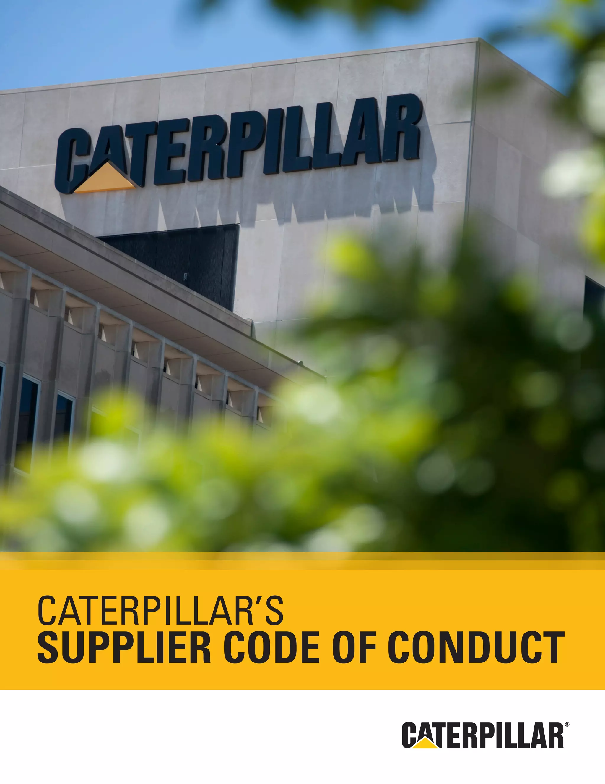 Cat Code of Conduct | PDF