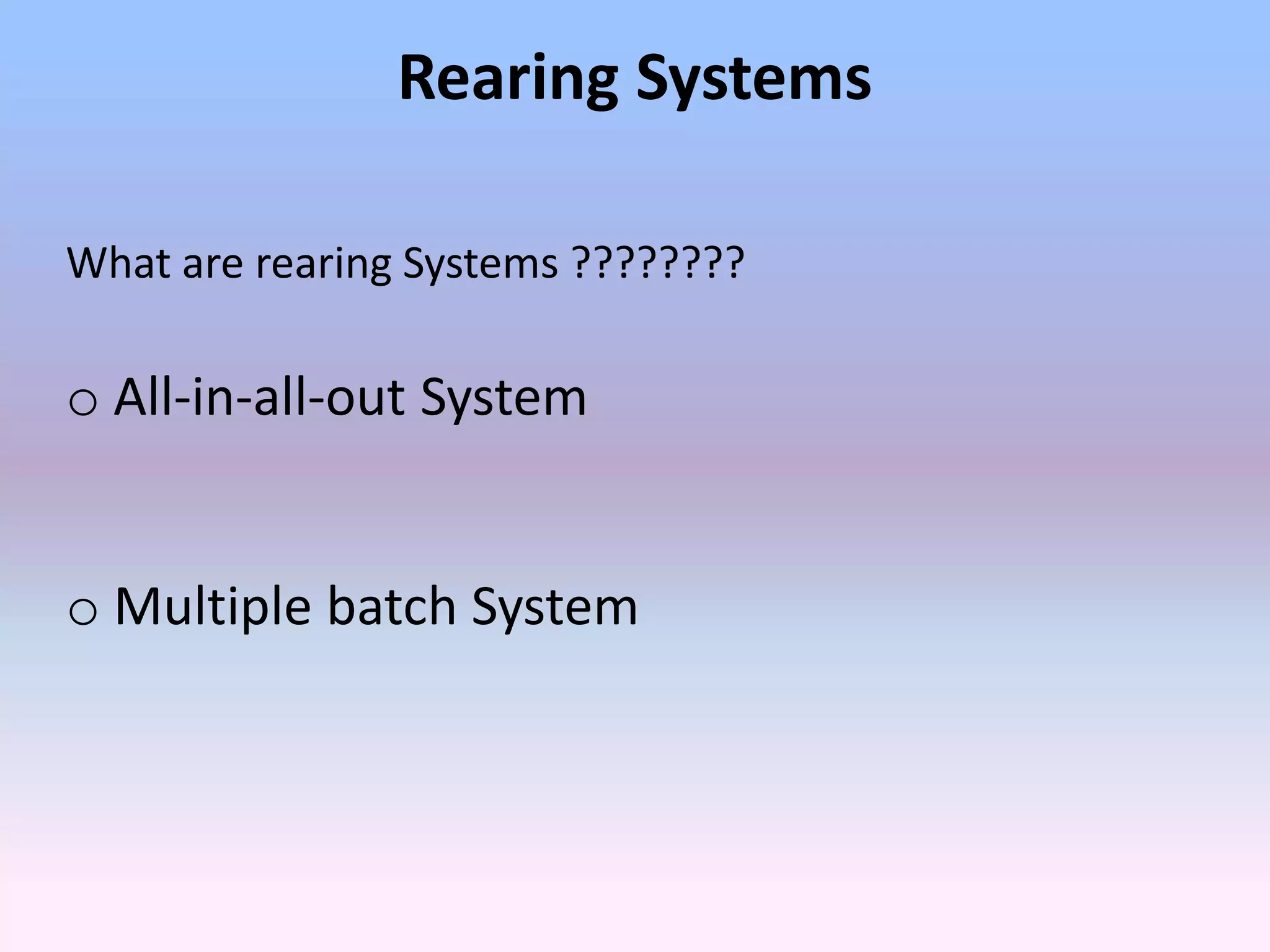 Buyback System and All in All out System in Broiler Farming.pptx