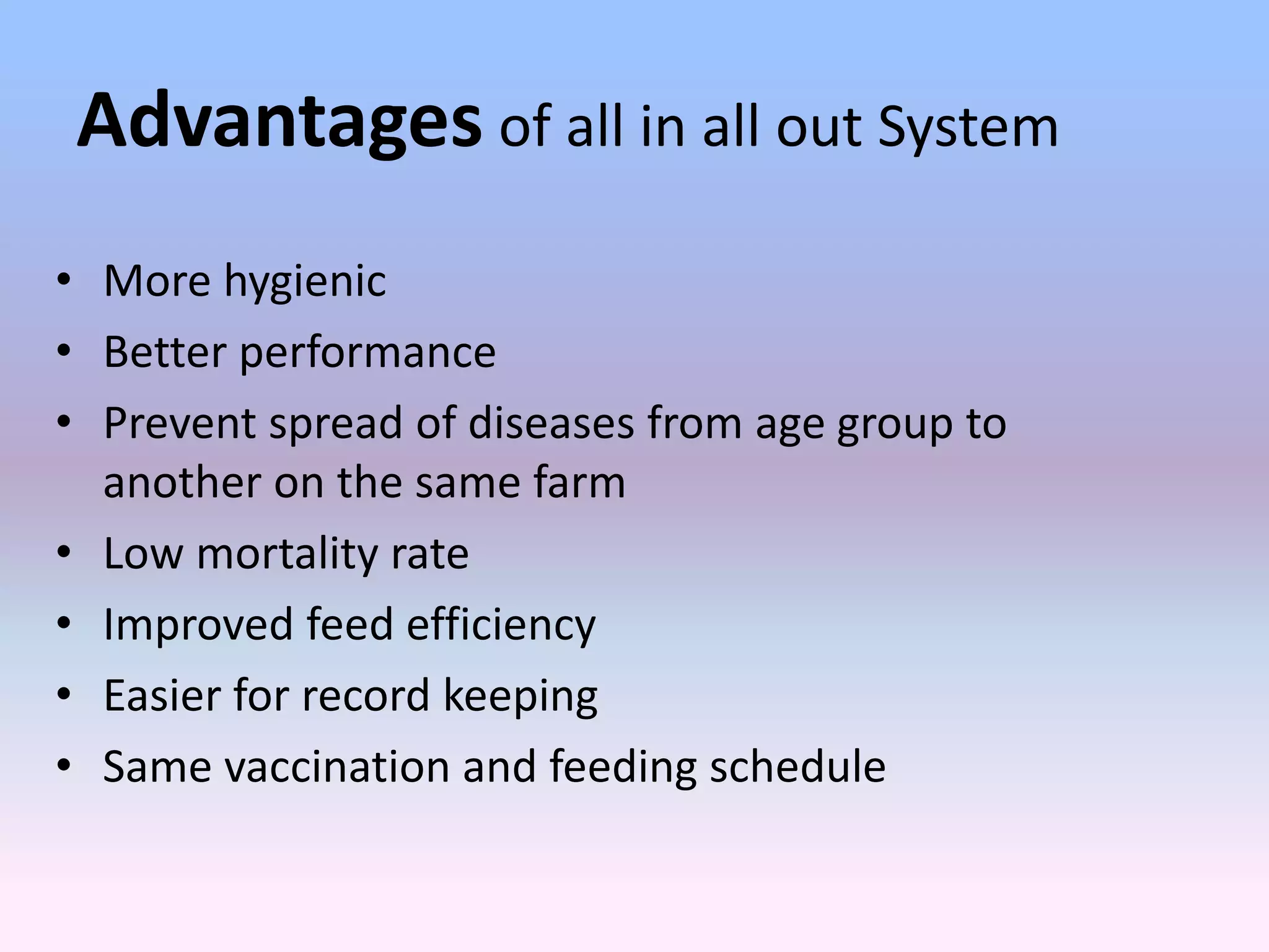 Buyback System and All in All out System in Broiler Farming.pptx