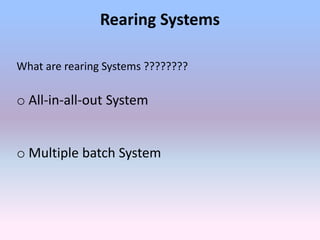 Buyback System and All in All out System in Broiler Farming.pptx