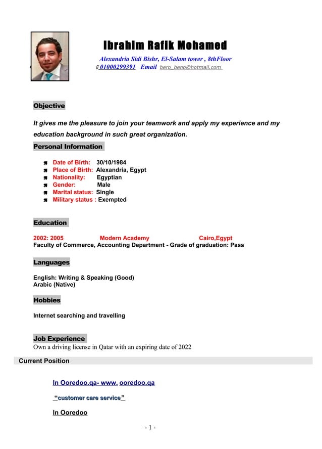 Ibrahim Rafik Mohamed cv | PDF