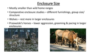 Behaviour of Zoo Animals | PPTX
