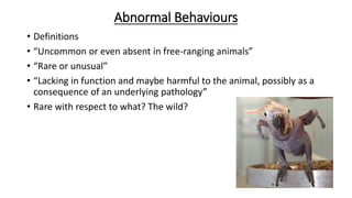 Behaviour of Zoo Animals | PPTX