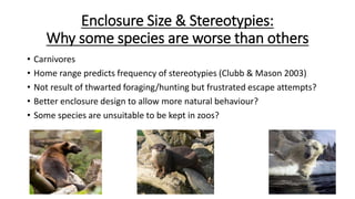 Behaviour of Zoo Animals | PPTX