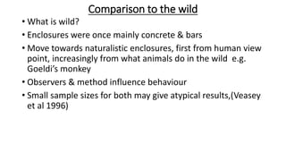 Behaviour of Zoo Animals | PPTX