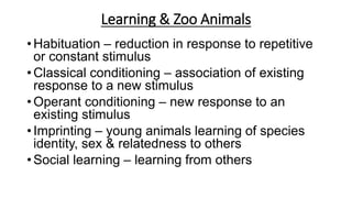 Behaviour of Zoo Animals | PPTX