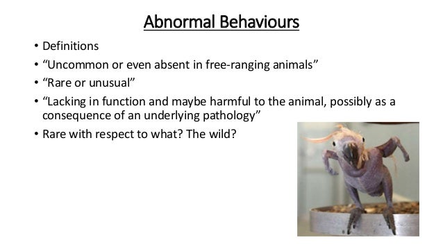 Behaviour of Zoo Animals