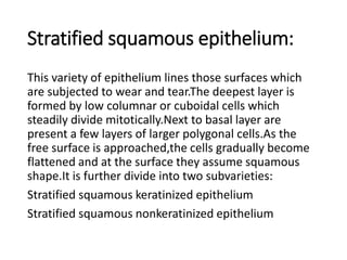 Tissue_of_body_-Epithelium.( Classification and occurence with diagram ...