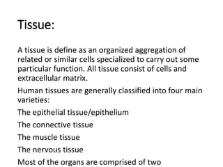 Tissue_of_body_-Epithelium.( Classification and occurence with diagram ...