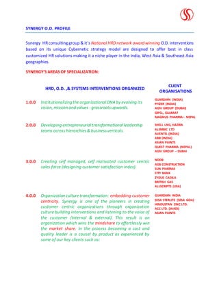 SYNERGY O.D. PROFILE | DOCX | Human Resources | Business